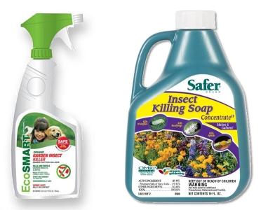 Insecticides Examples Presence Of Pesticides And Biocides At Dutch